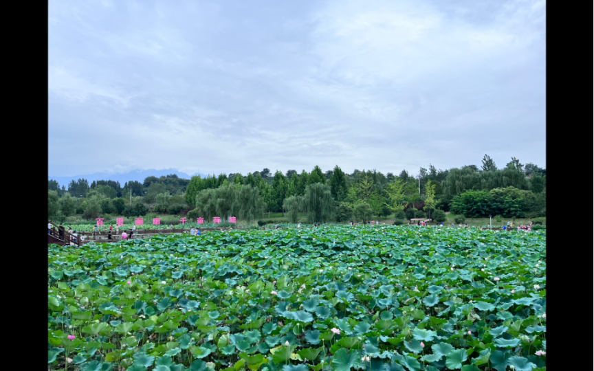 迷人微笑,我最爱的你!