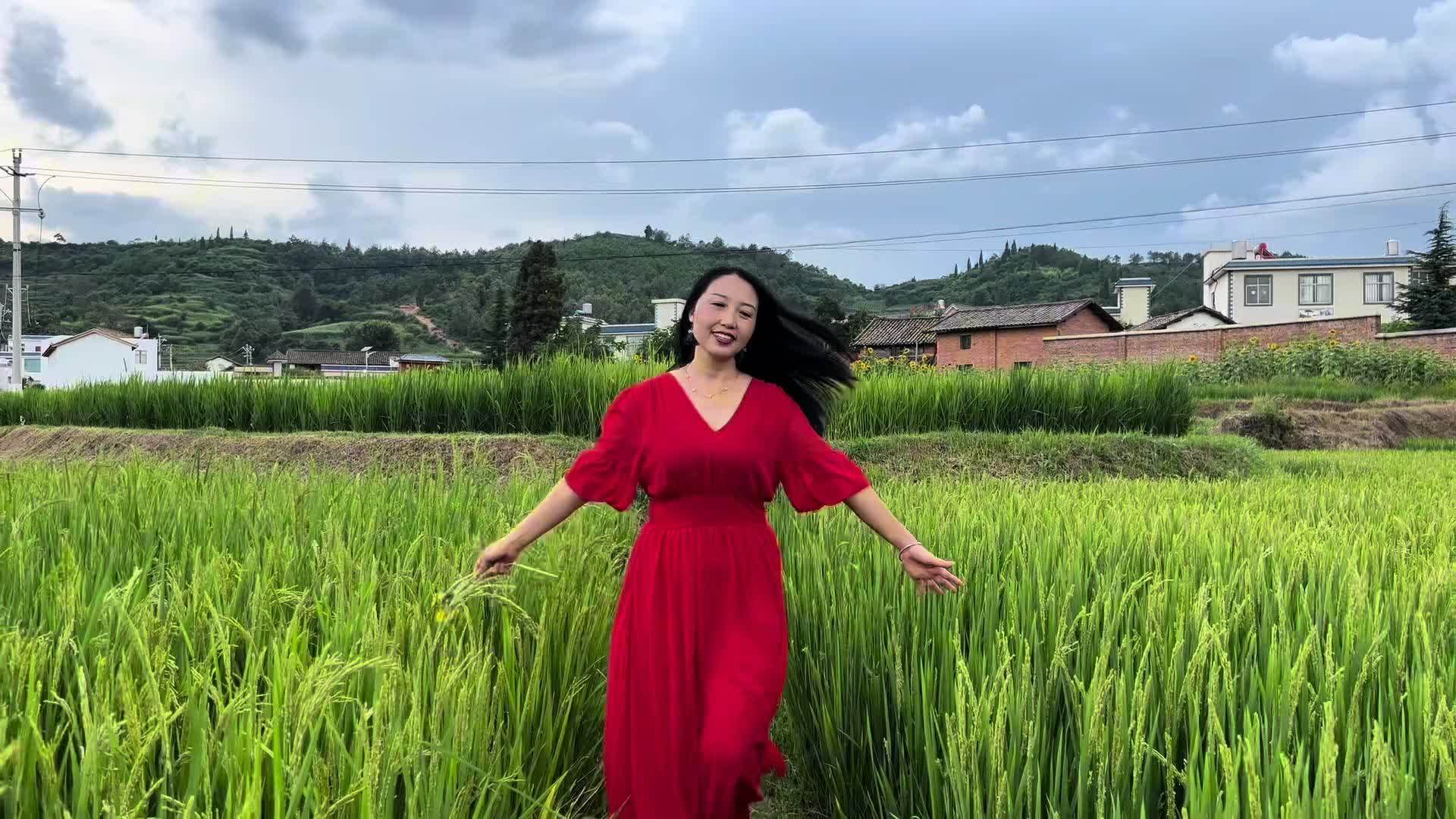 你离宫崎骏的夏天只差一片稻田 #稻田风光美如画 #秋天