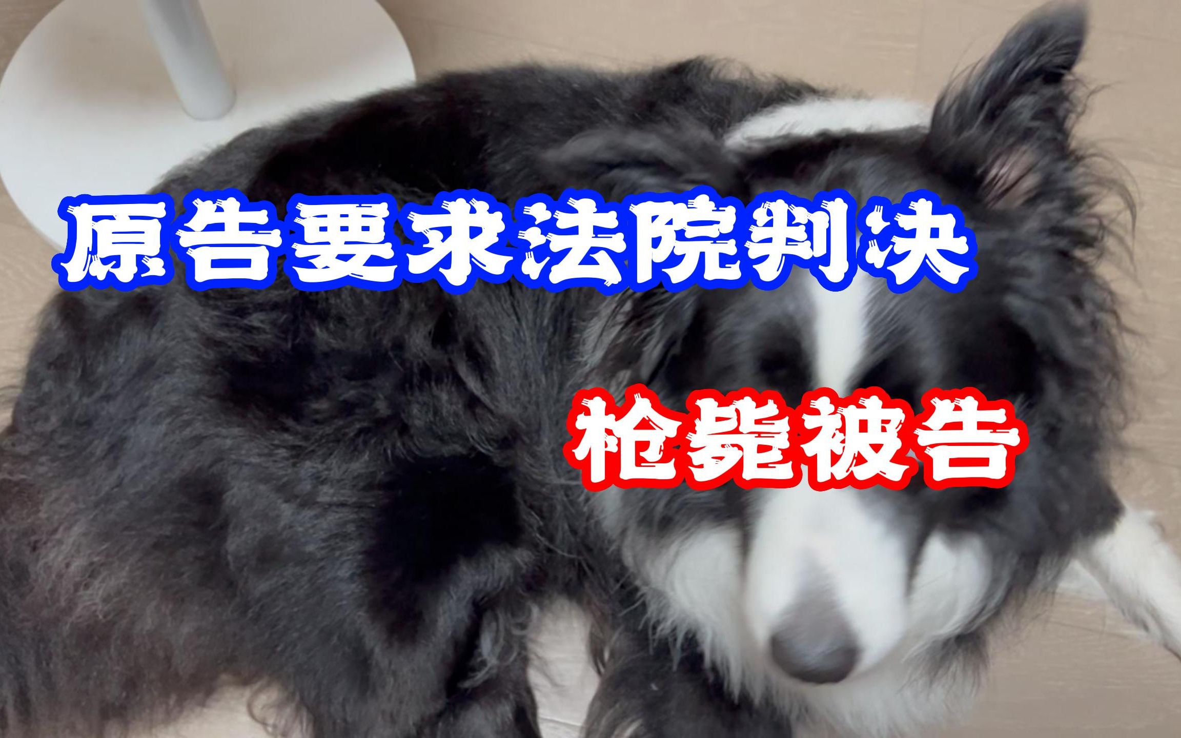 原告要求法院判决枪毙被告