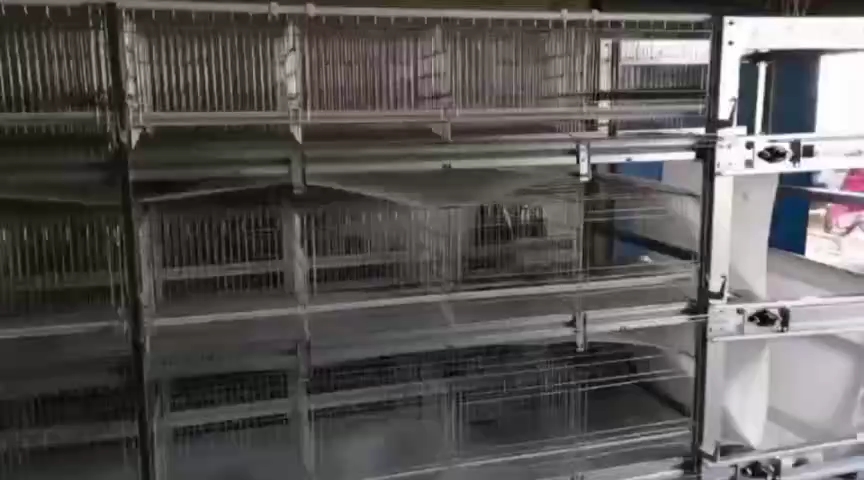 蛋鸡笼肉鸡笼按样式分为元宝笼和框架笼区别在哪?