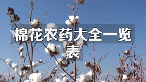 棉花农药全解析:从选药到安全使用的避坑指南