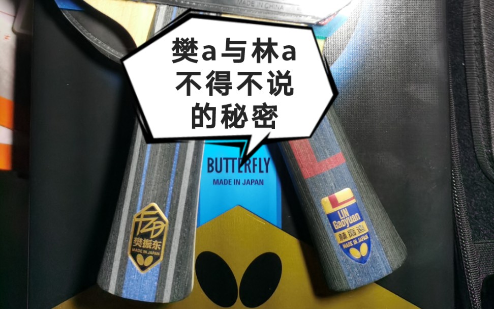 樊振东alc与林高远alc自用测评(非专业,水平有限)