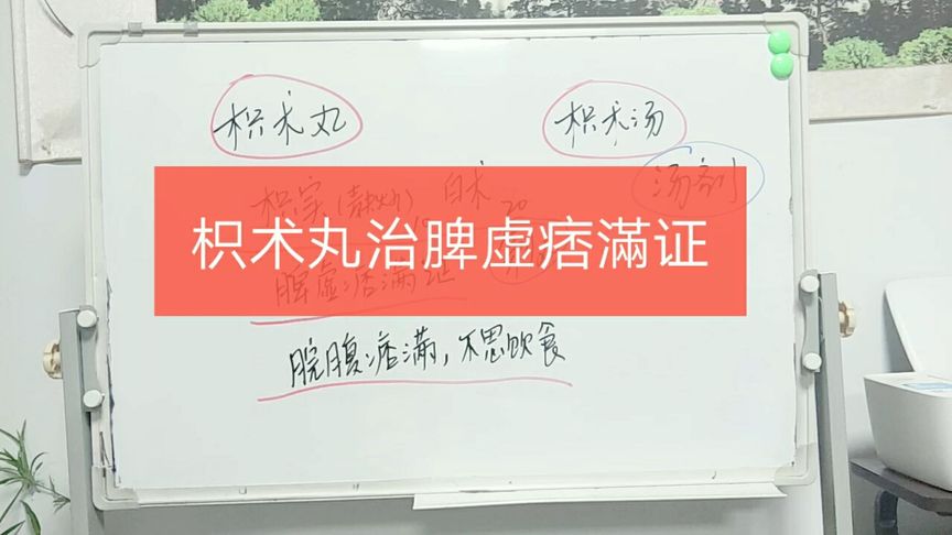 白术,枳实配伍,药量不同,功效大不一样。