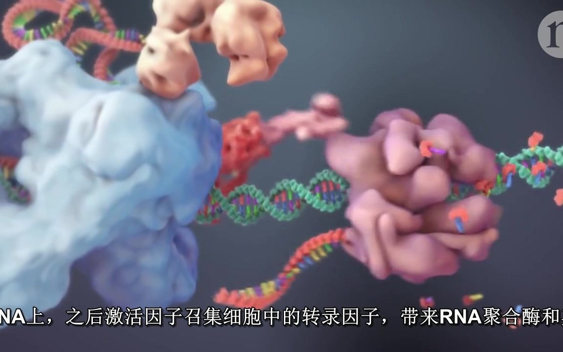 【一个短视频读懂】CRISPR基因编辑原理及应用