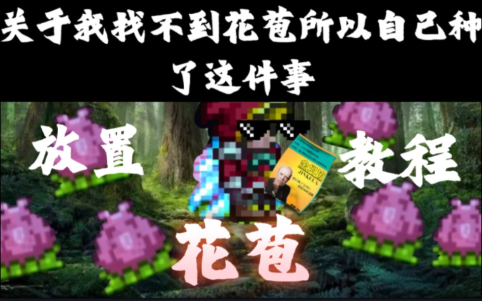 泰拉瑞亚GG修改器:修改世纪之花花苞教程