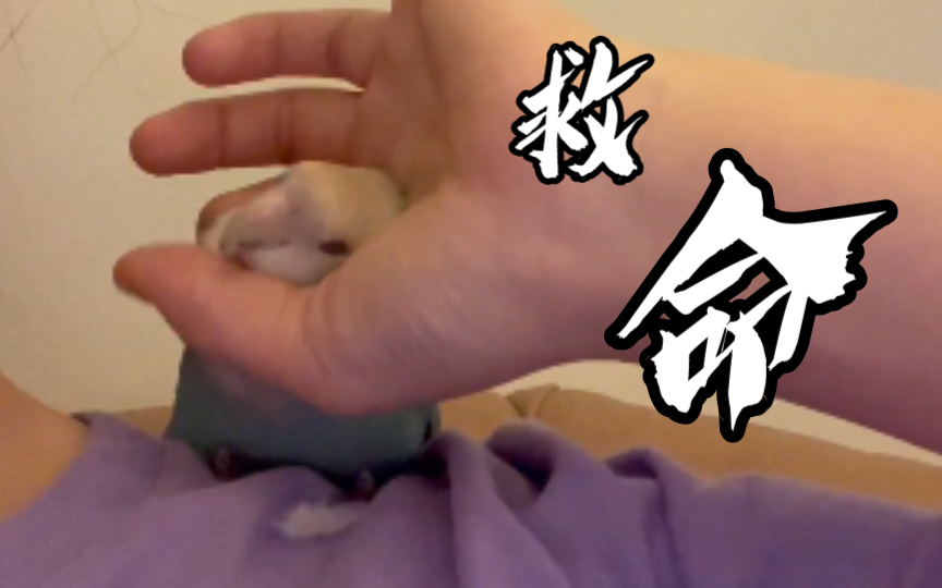 撸鸟正确姿势 一定要摆出ok的姿势