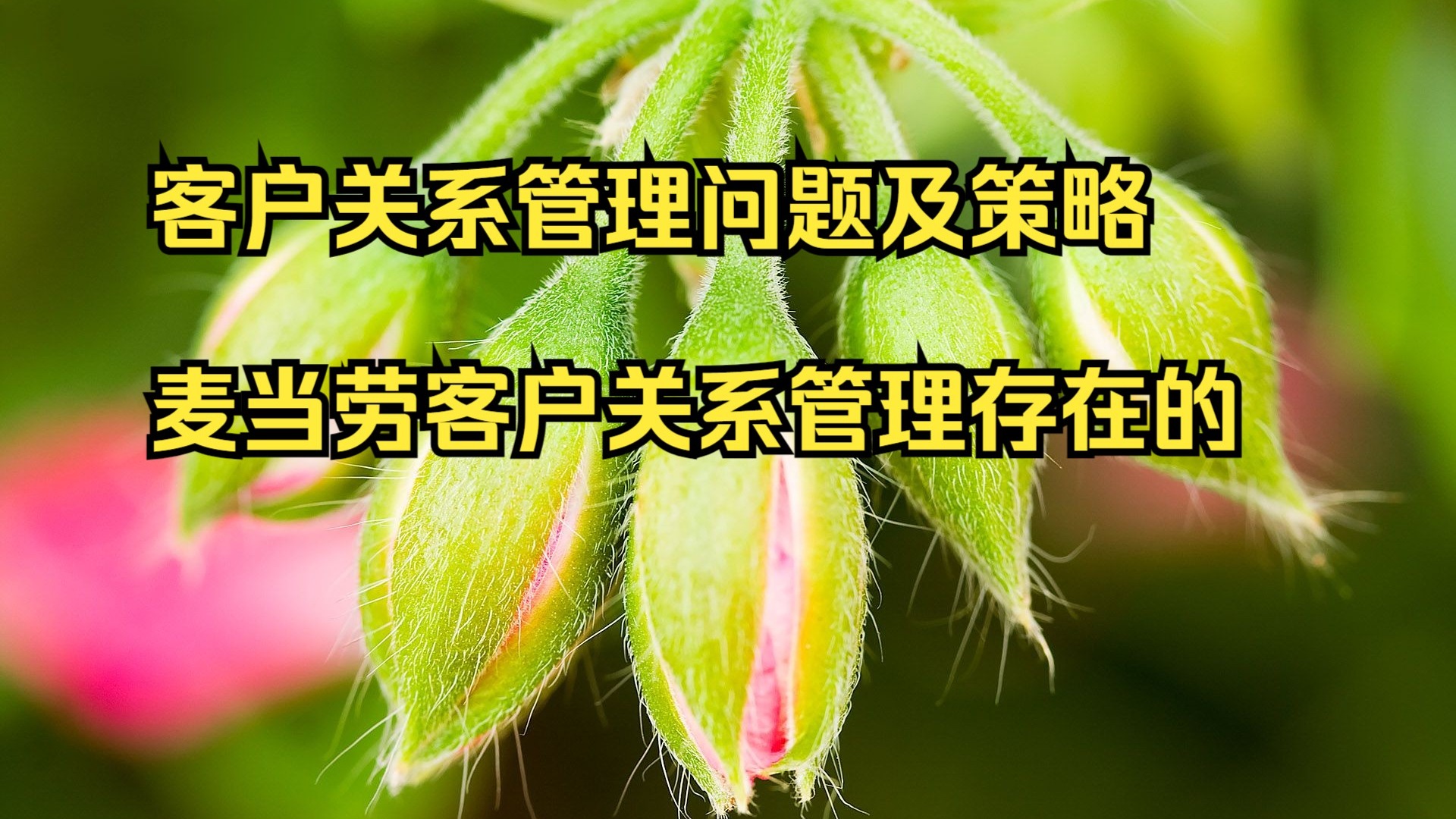 客户关系管理问题及策略 麦当劳客户关系管理存在的问题 复旦大学客