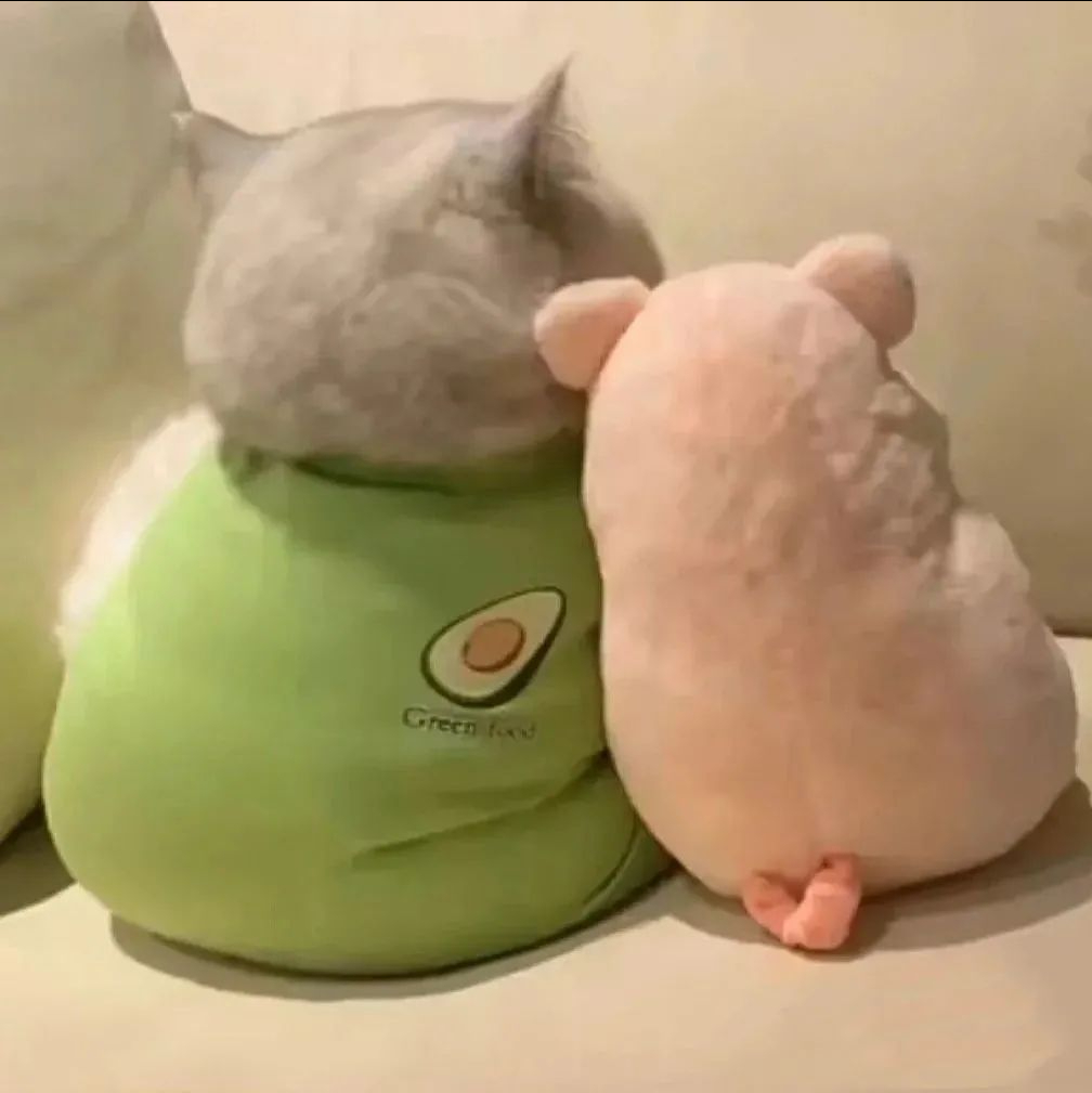 散人不想加班 