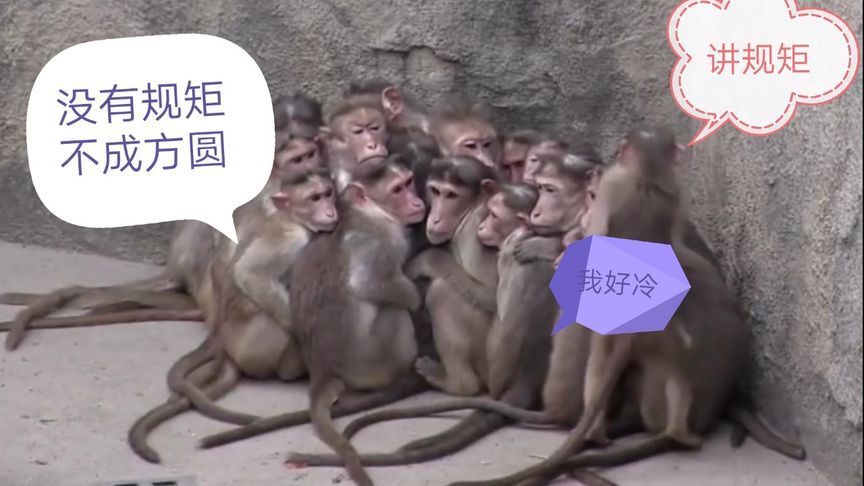 不管怎么样都要讲规矩 没有规矩不成方圆