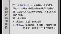 解剖教程第六部分(端脑第二部分;神经传导通路;脑和脊髓的被膜、血管...