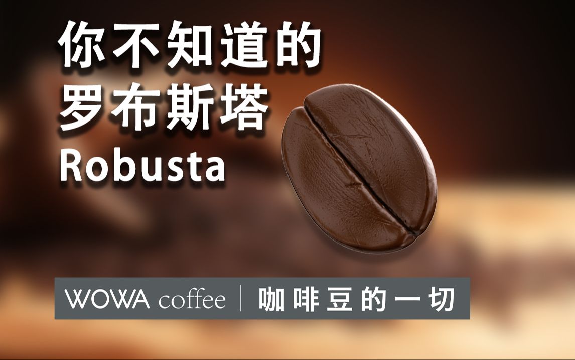 你不知道的罗布斯塔咖啡