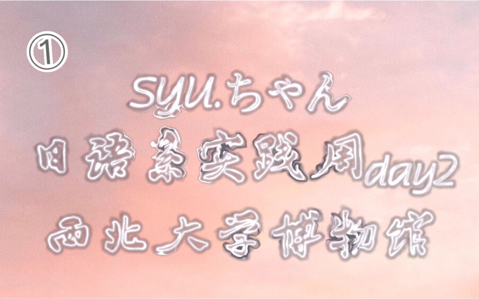 「SYU.」久违的更新～日语系实践周 带你走进西北大学博物馆(上)/...