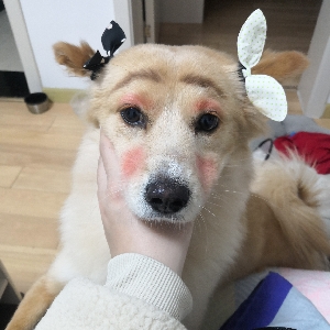 世界的敌人君哥 