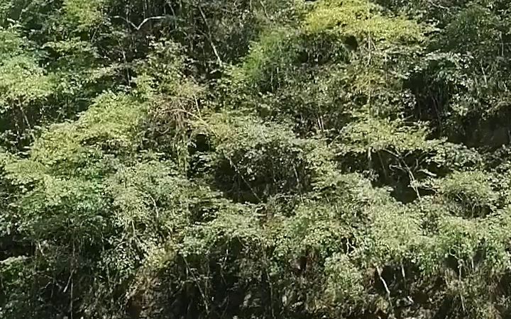 杉木河漂流。施秉县。漂了约仨小时,水位比夏天降低不少,没那么兴奋...