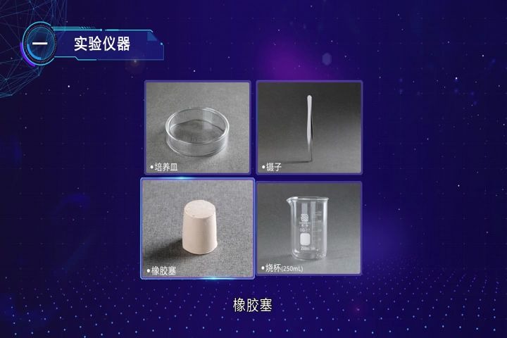 干燥的氯气能否漂白物质实验