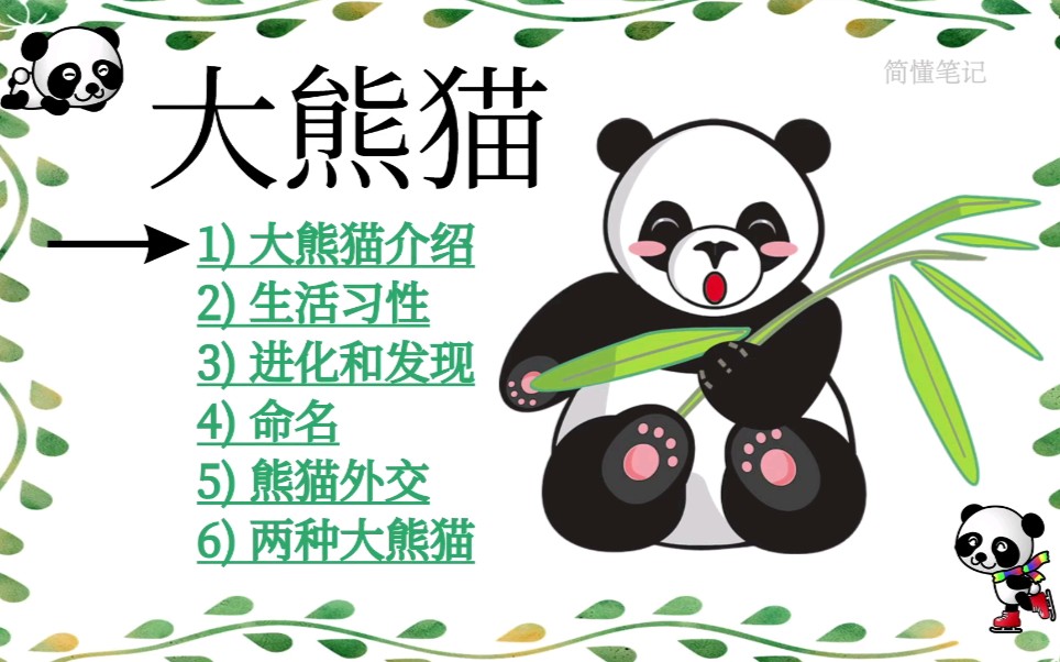 了解大熊猫 国宝熊猫Panda介绍| 可爱萌动物 猫熊 生活习惯 特点 进化...