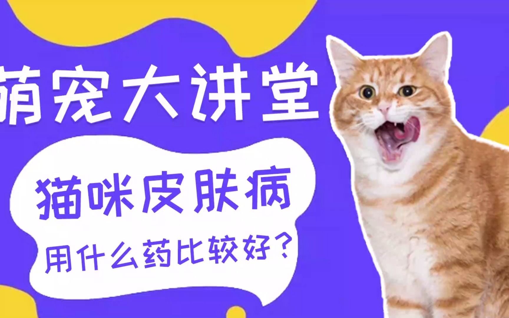猫咪皮肤病用什么药比较好?