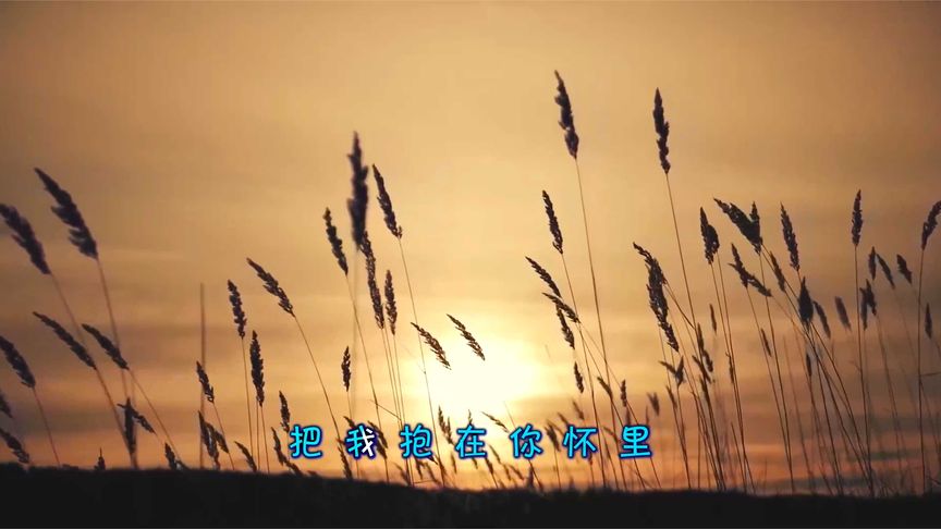 我刚刚看了《曹雪 - 确定一定以及肯定》很好看!