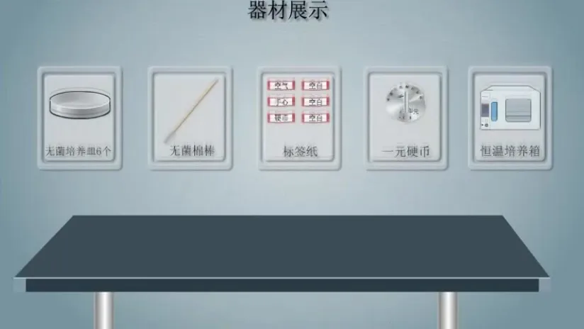 检测不同环境中的细菌和真菌