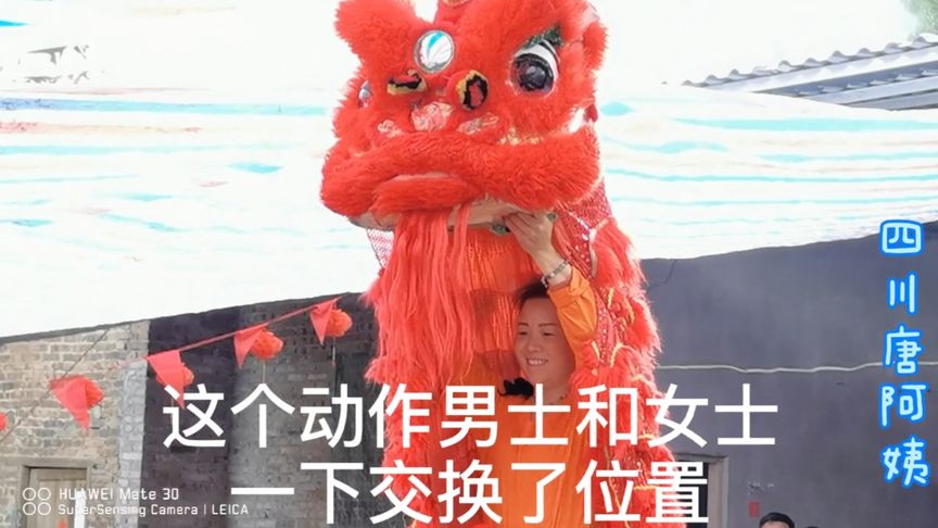 农村办喜事请来舞狮队表演助兴,动作唯妙唯俏,宾客看得津津有味