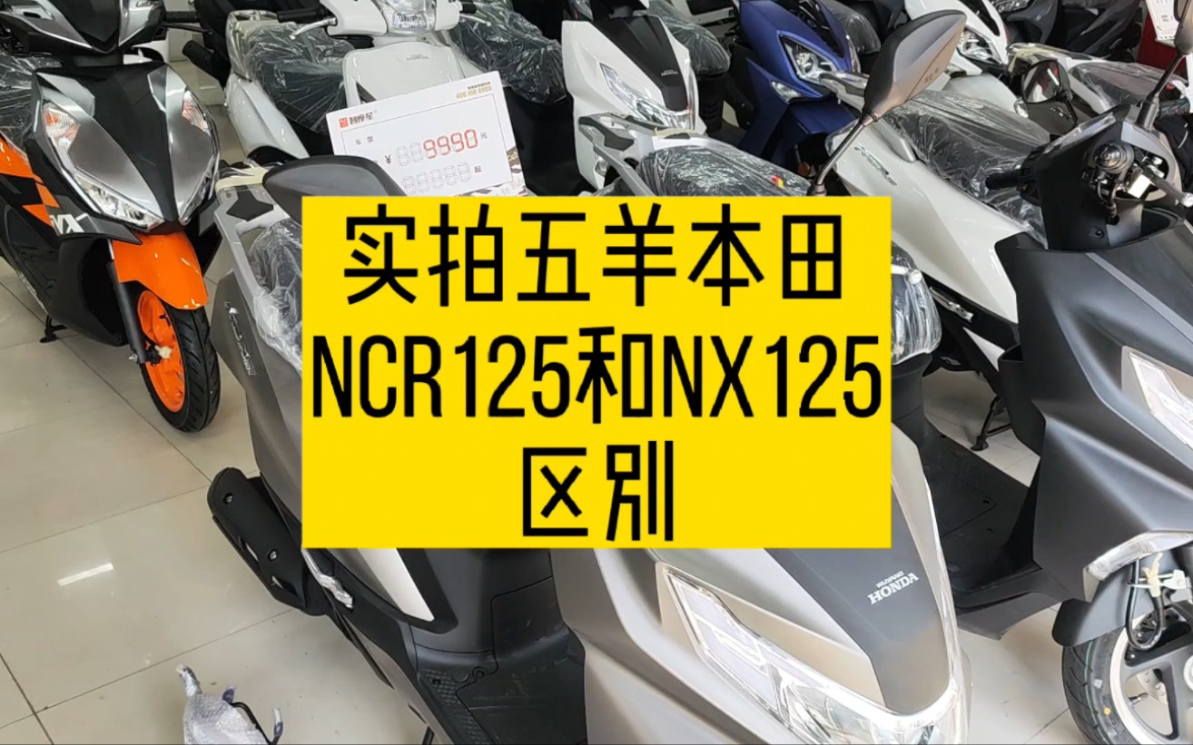 实拍五羊本田NCR125和NX125区别,市场定位不同NCR能否占据销量