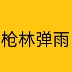枪林弹雨武器装备 