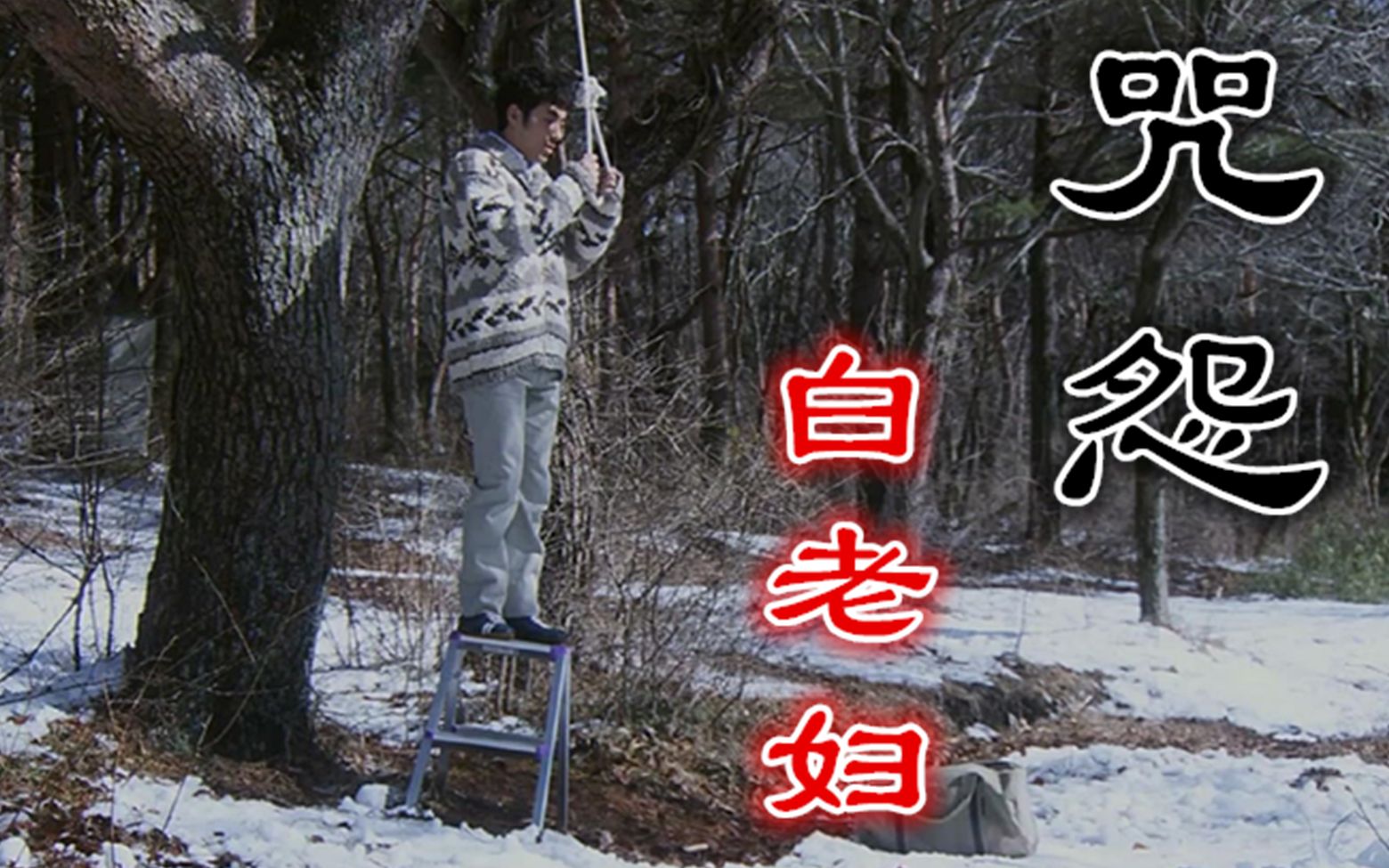 恐怖版:解说日本鬼片之咒怨白老妇,咒怨系列十周年纪念版电影