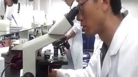 油镜使用