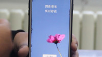 微信更新以后增加的小程序, 太好玩了, 快来学学吧!