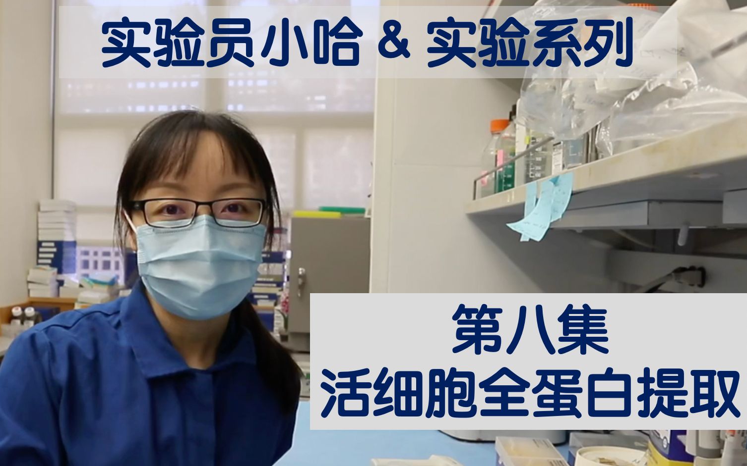 实验员小哈&实验系列 - 第八集 - 贴壁活细胞全蛋白提取