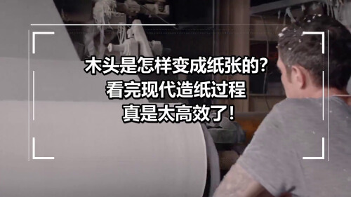 将一根木头变成纸,需要怎么办呢?实拍造纸过程