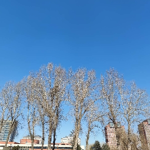 物化生李老师 