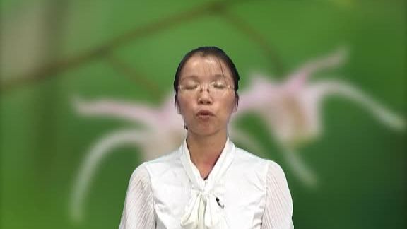 高中生物:减数分裂和受精作用