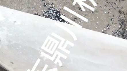 皮革粉碎机 猪皮牛皮羊皮碎料机动物毛皮切碎机 布料破碎机#皮革粉碎...