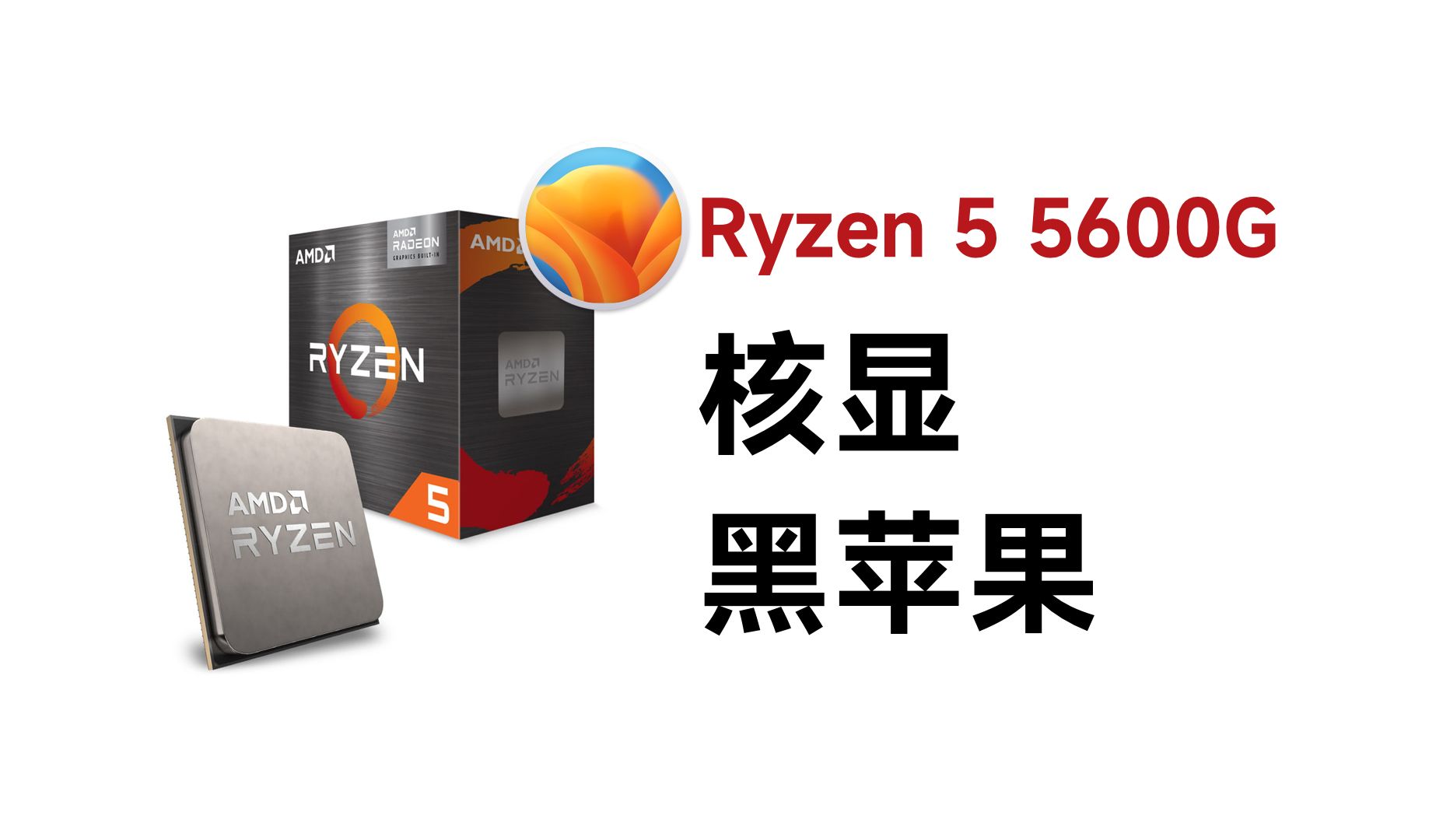 ...的AMD单核显黑苹果主机配置推荐,上Ventura 13系统,办公娱乐没压力!