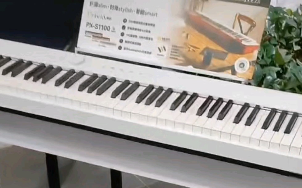 怎么有这种电钢琴#卡西欧电钢琴#卡西欧PXS1100
