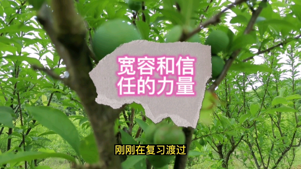 宽容和信任的力量