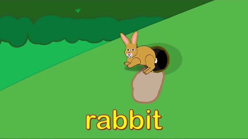 农场里好多动物数一数有多少个,儿童认识动物英文动画片