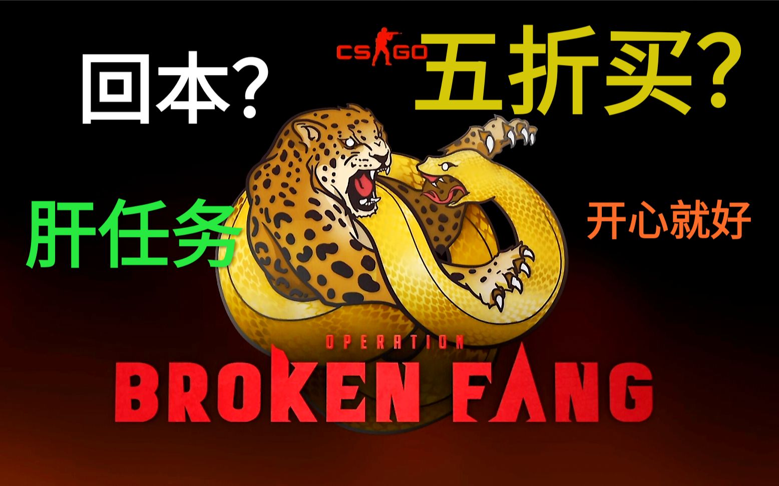 【CSGO】关于大行动の经验之谈与小窍门