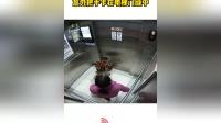 小朋友电梯内玩闹意外把手卡在电梯门缝中 注意安全 突发 事故 危险瞬间