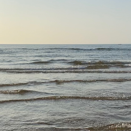 九年义务资料分享 