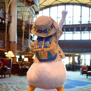 逢考必过ksjy 