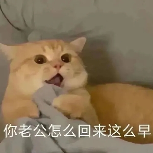 丑的让麻麻忧心 