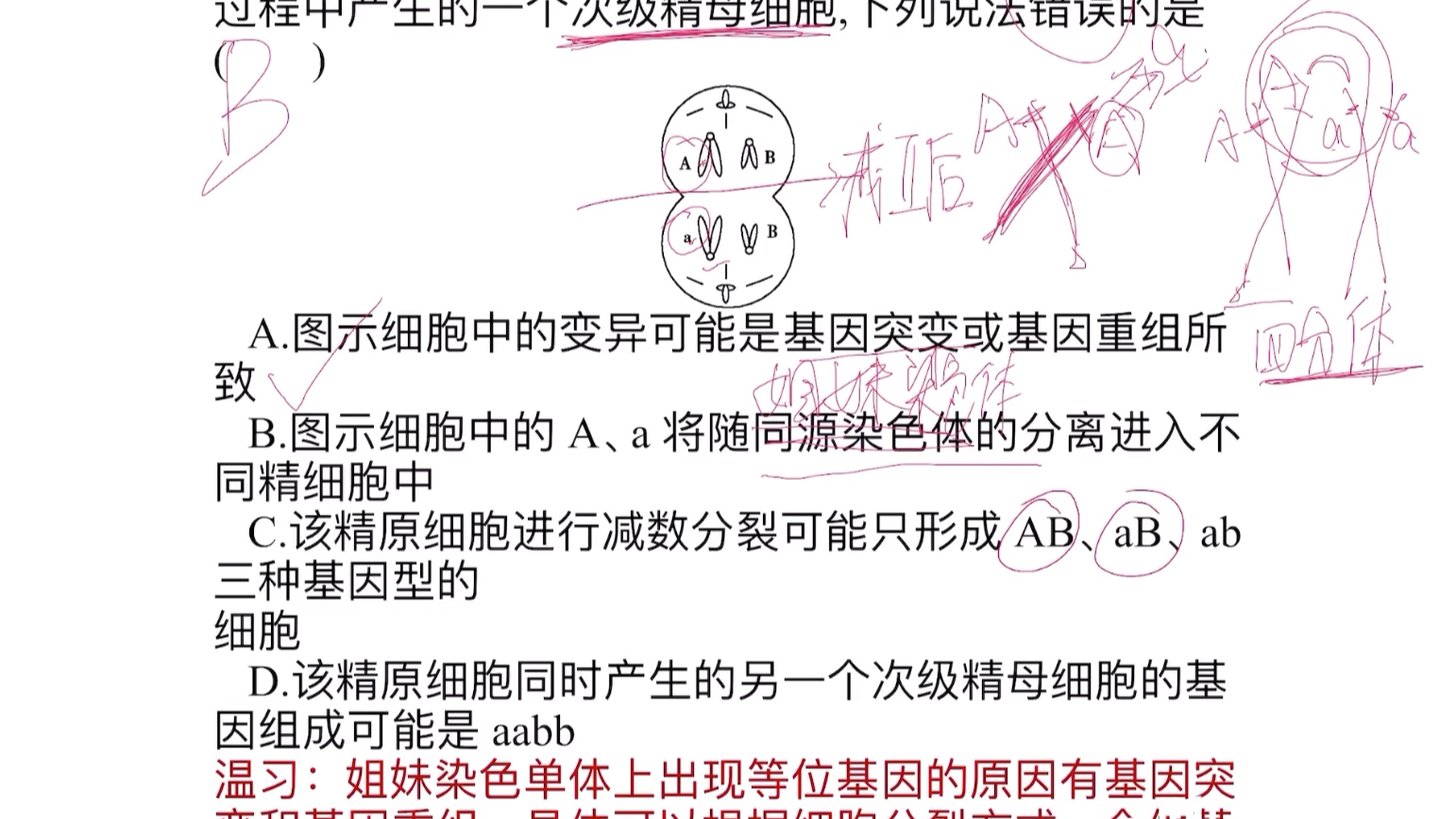 细胞的生命历程