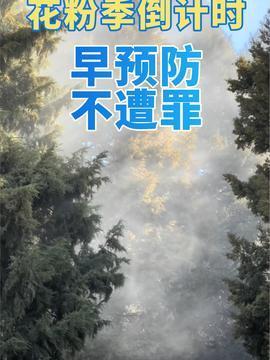 花粉季倒计时!提前两周做好这些事,春天不遭罪