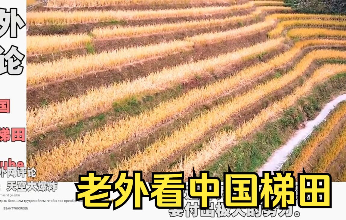 【海外评论】当老外看到中国“绝美梯田”,老外:这个农场有点与众不同!