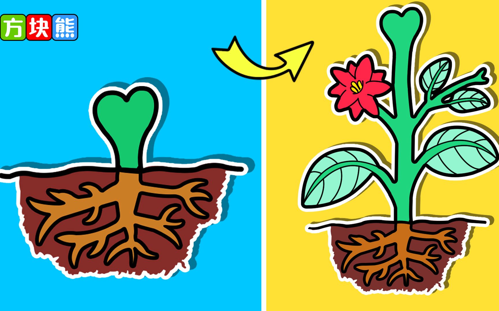 立体画:努力向阳生长的花朵,好漂亮