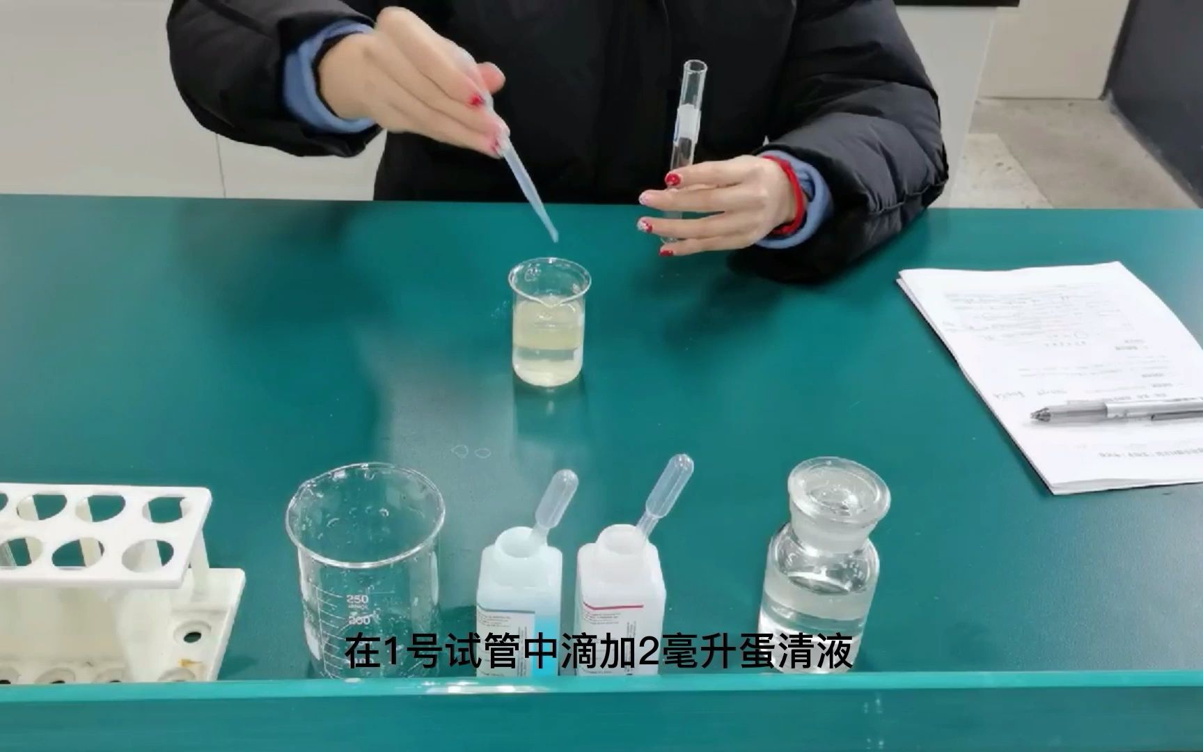 2检测生物组织中的蛋白质