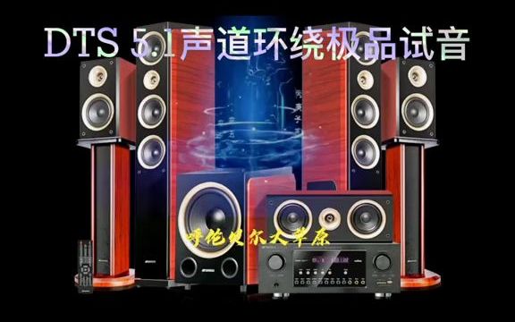 DTS格式 5.1环绕声道,天花板级别的 音乐 无损完整版