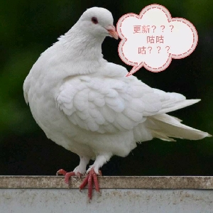 咱是个大鸽子 